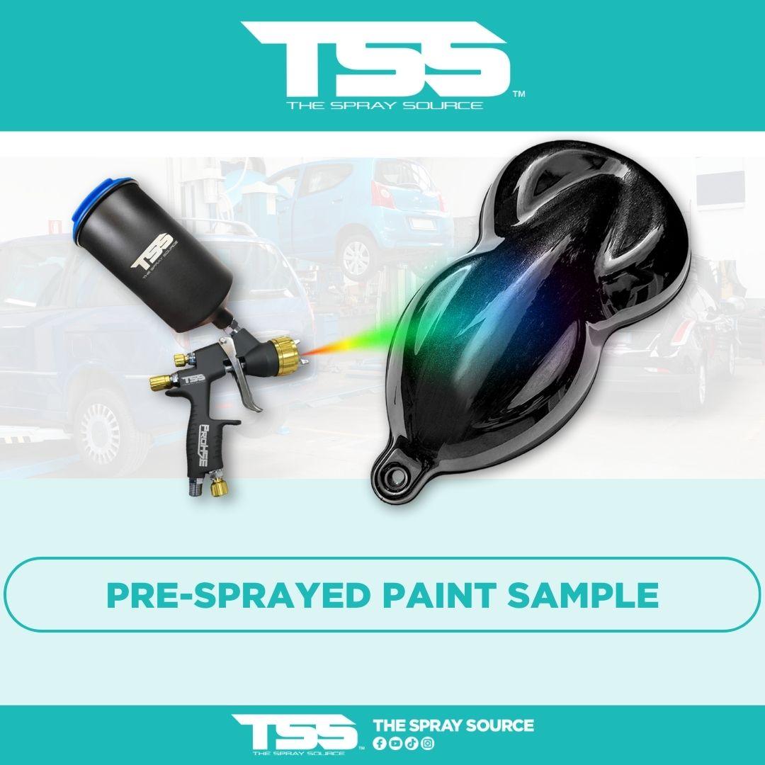Pre-Sprayed Speedshape Paint Samples | The Spray Source – TSS Professionals
